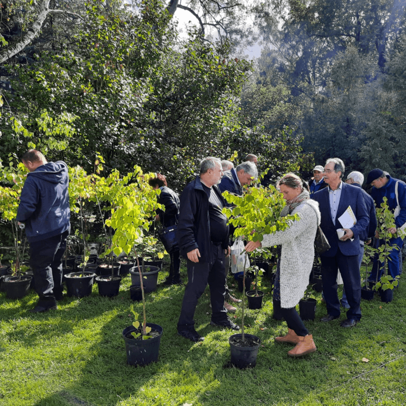 Agrii Polska wspiera pszczelarzy - Agrii